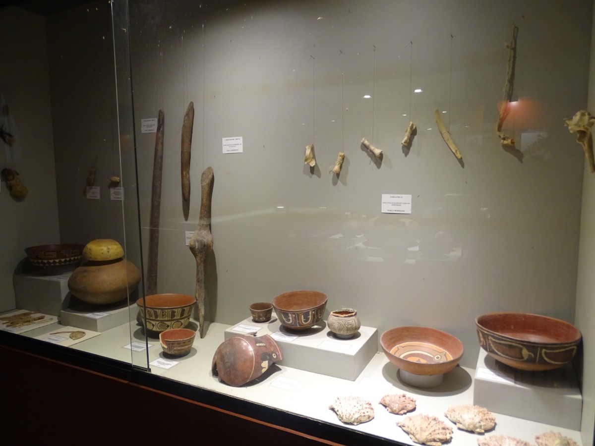The Museum - Museo Antonini